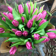 Eufloria Florist Swinton - Order Online or 0161 222 8130